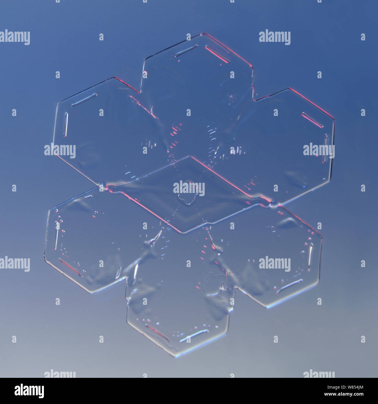 Snowflake magnified under microscope, Lilehammer, Norway Stock Photo ...