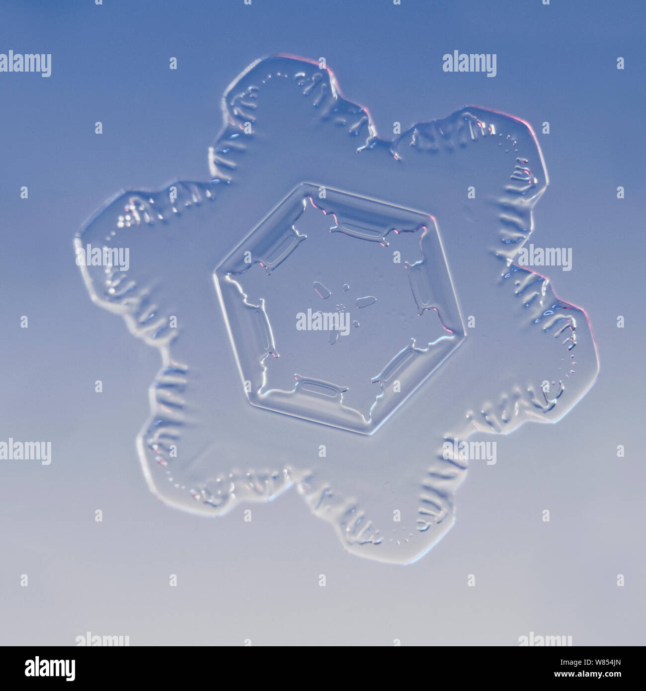 Snowflake magnified under microscope, Lilehammer, Norway Stock Photo ...