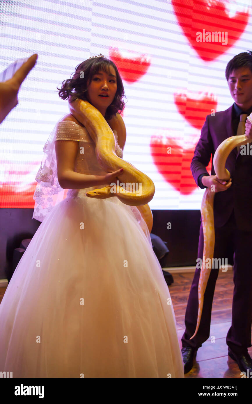 Python around neck hi-res stock photography and images - Alamy