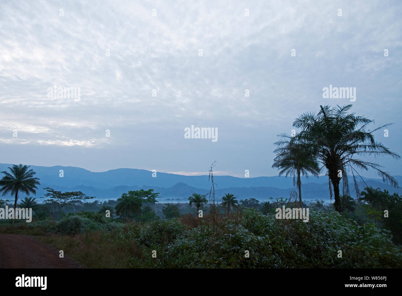 Nimba hi-res stock photography and images - Alamy