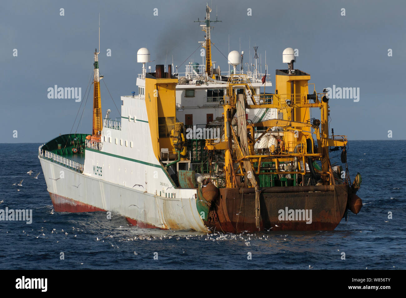 Factory ship 'Cornelis Vrolijk' (registered to Hull) fishing for ...