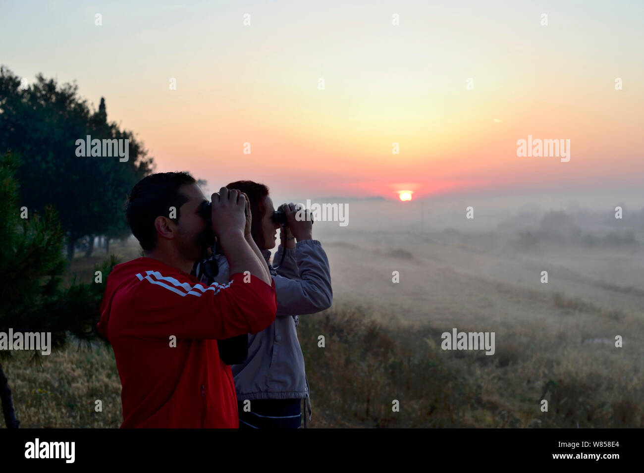 Maltese bird watchers at dawn monitoring migration and hunting during ...