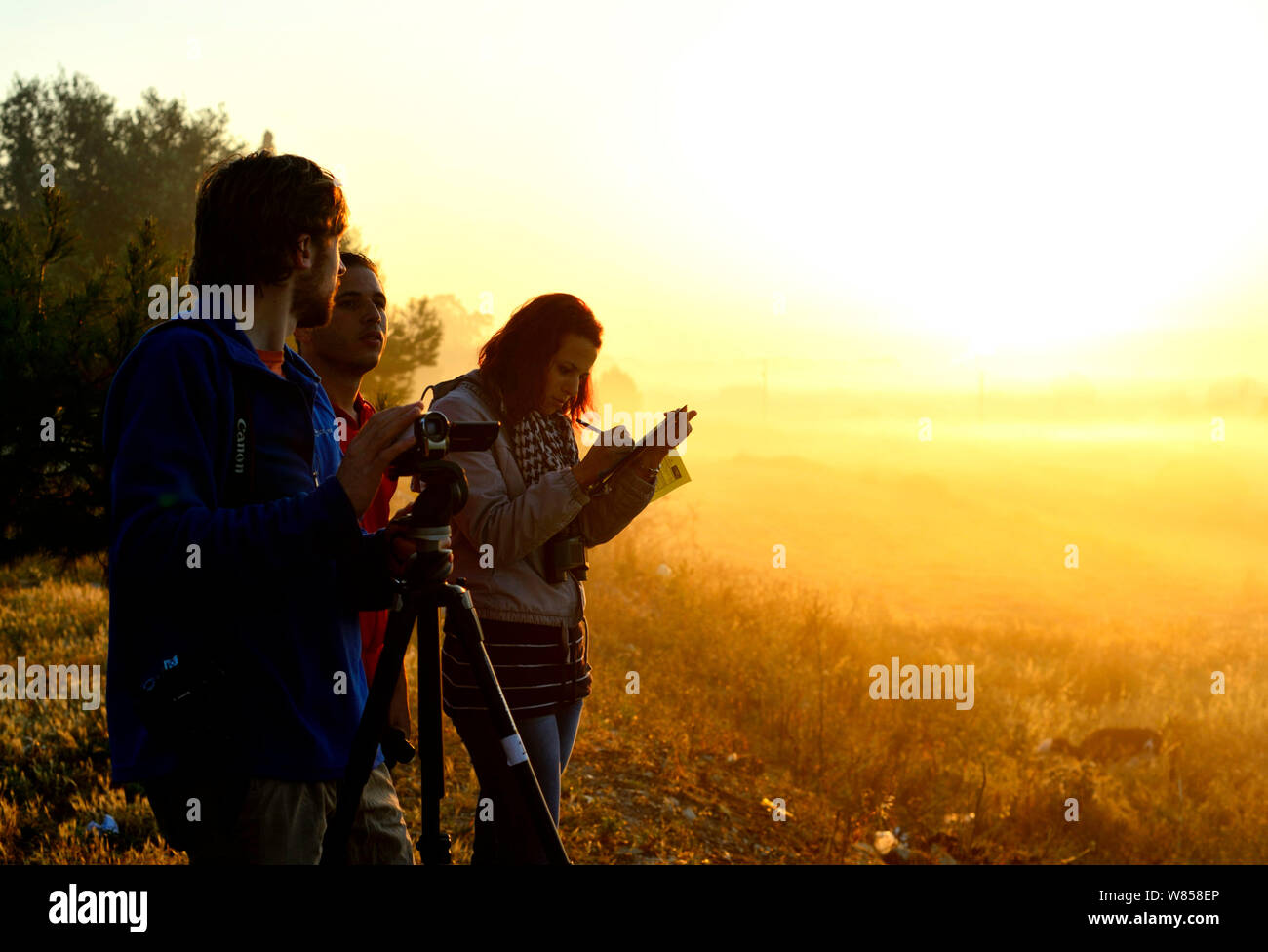Maltese bird watchers at dawn monitoring migration and hunting during ...