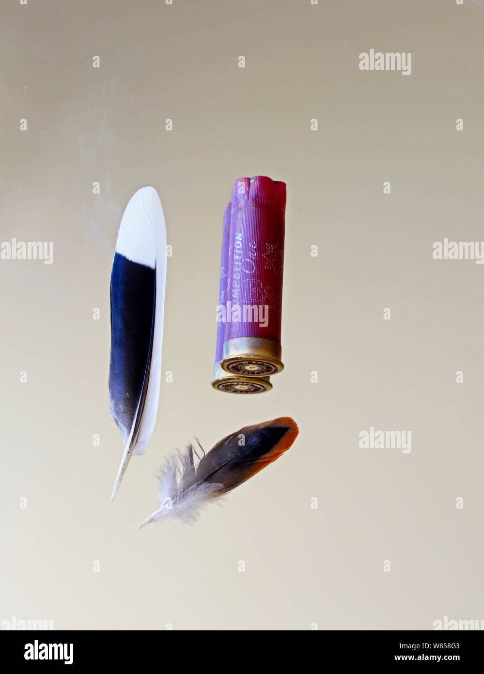 Feathers hi-res stock photography and images - Alamy