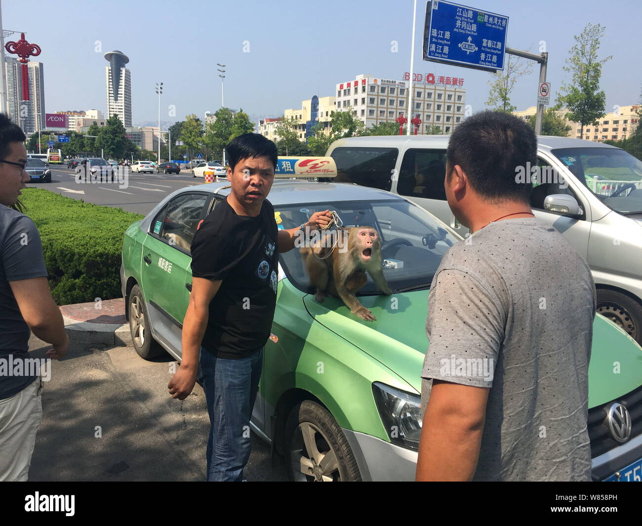 A ringmaster of a circus, center, carrying a monkey, talks with a taxi ...