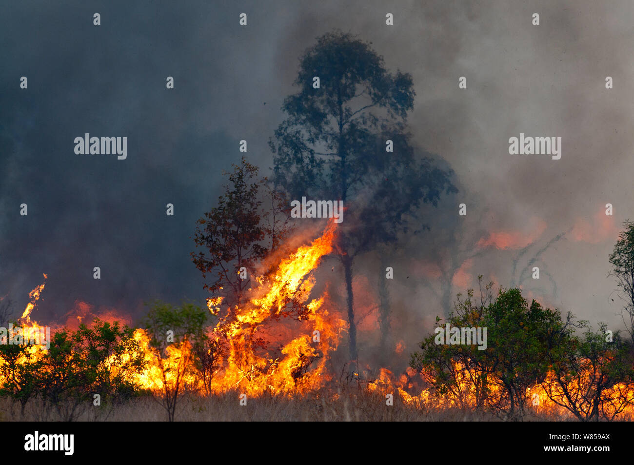 Bush fire near Charter Towers in Queensland, Northern Australia ...