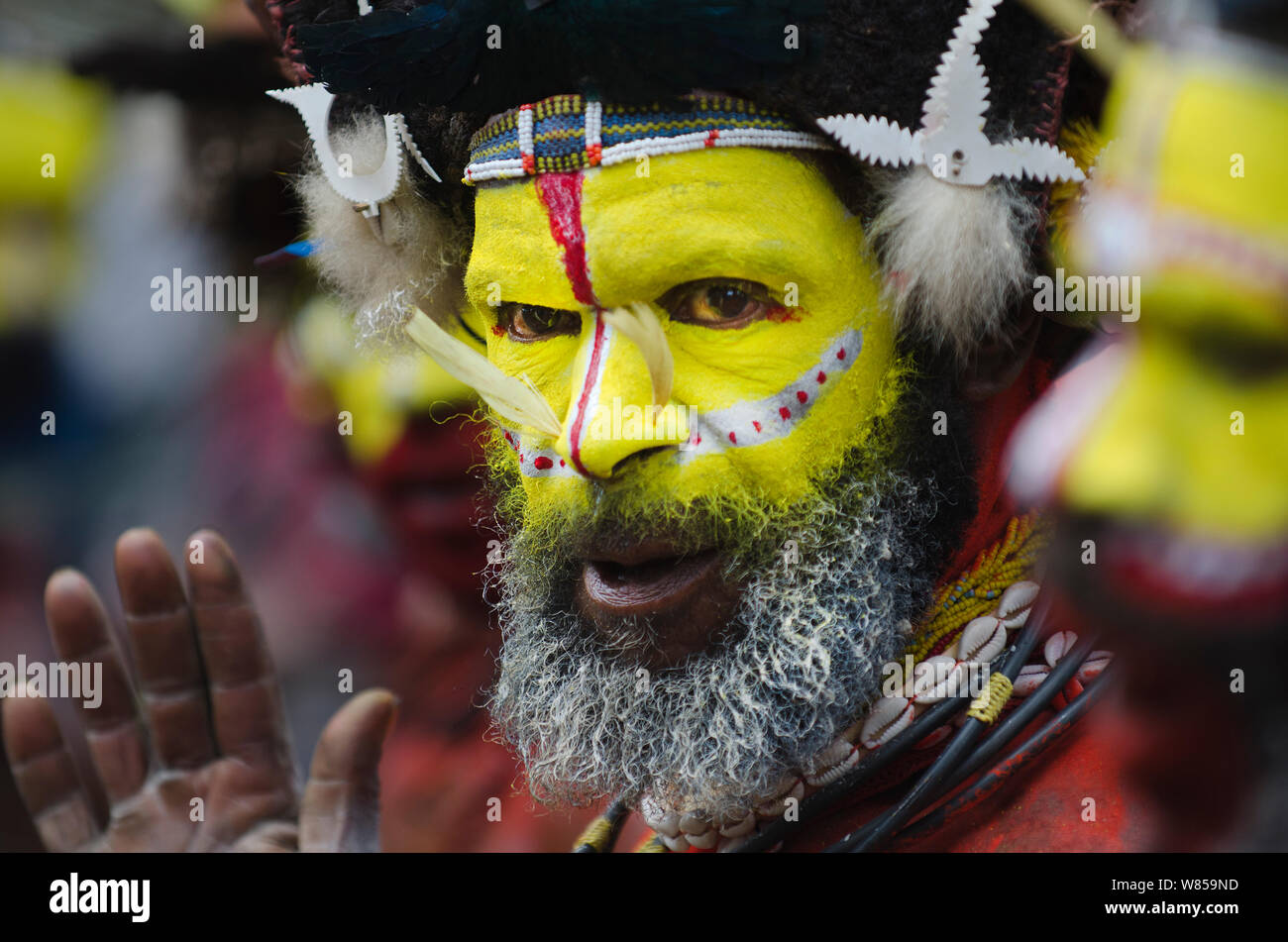 Huli Wigmen from the Tari Valley in the Southern Highlands of Papua New ...
