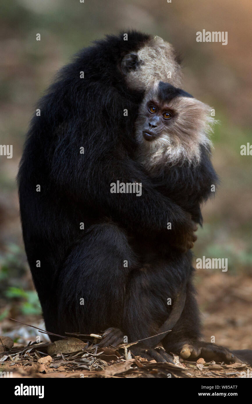 Arm around distressed hi-res stock photography and images - Alamy