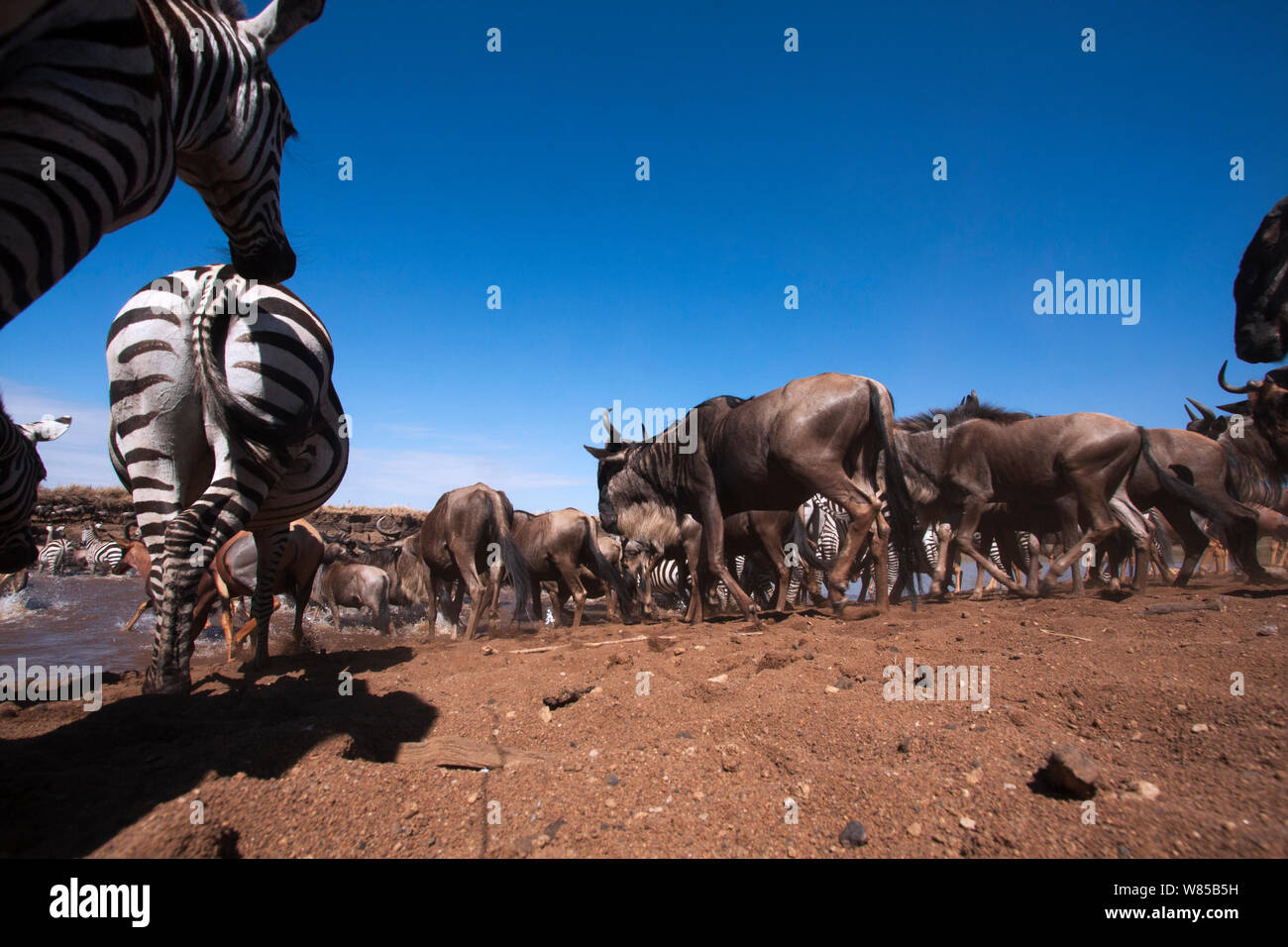 White topi hi-res stock photography and images - Alamy