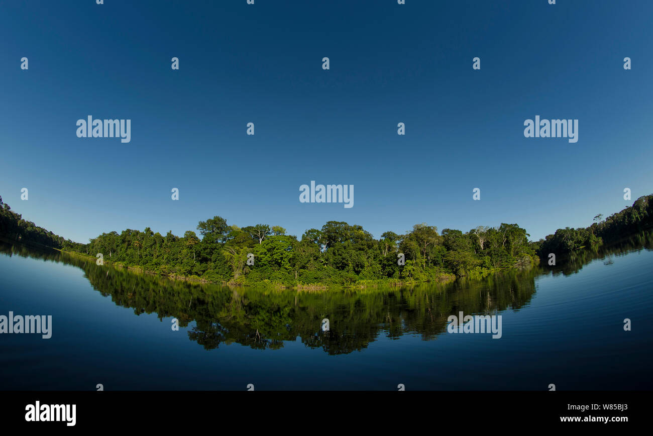 Peru manu national park cocha hi-res stock photography and images - Alamy