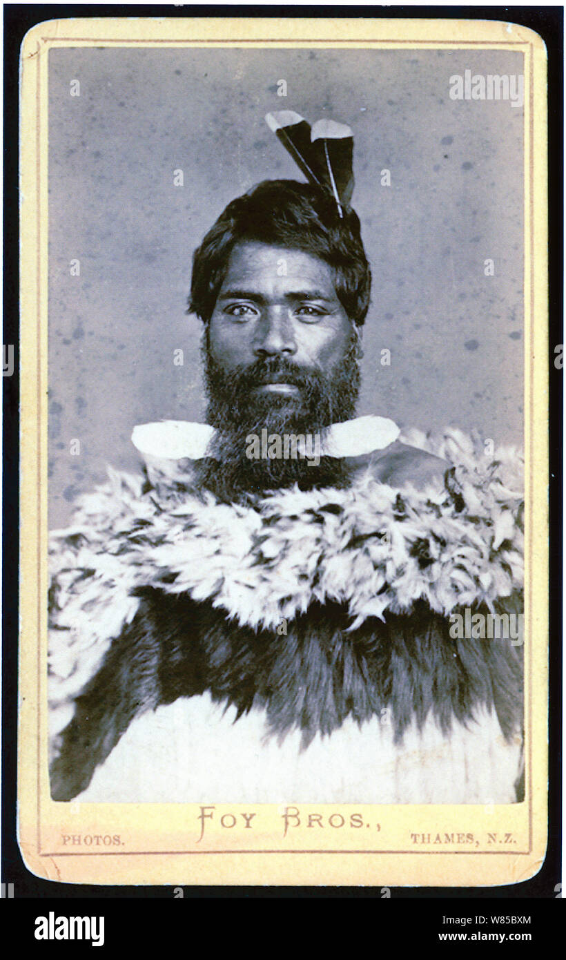 Unidentified Maori man with two huia tail feathers in his hair, and ...