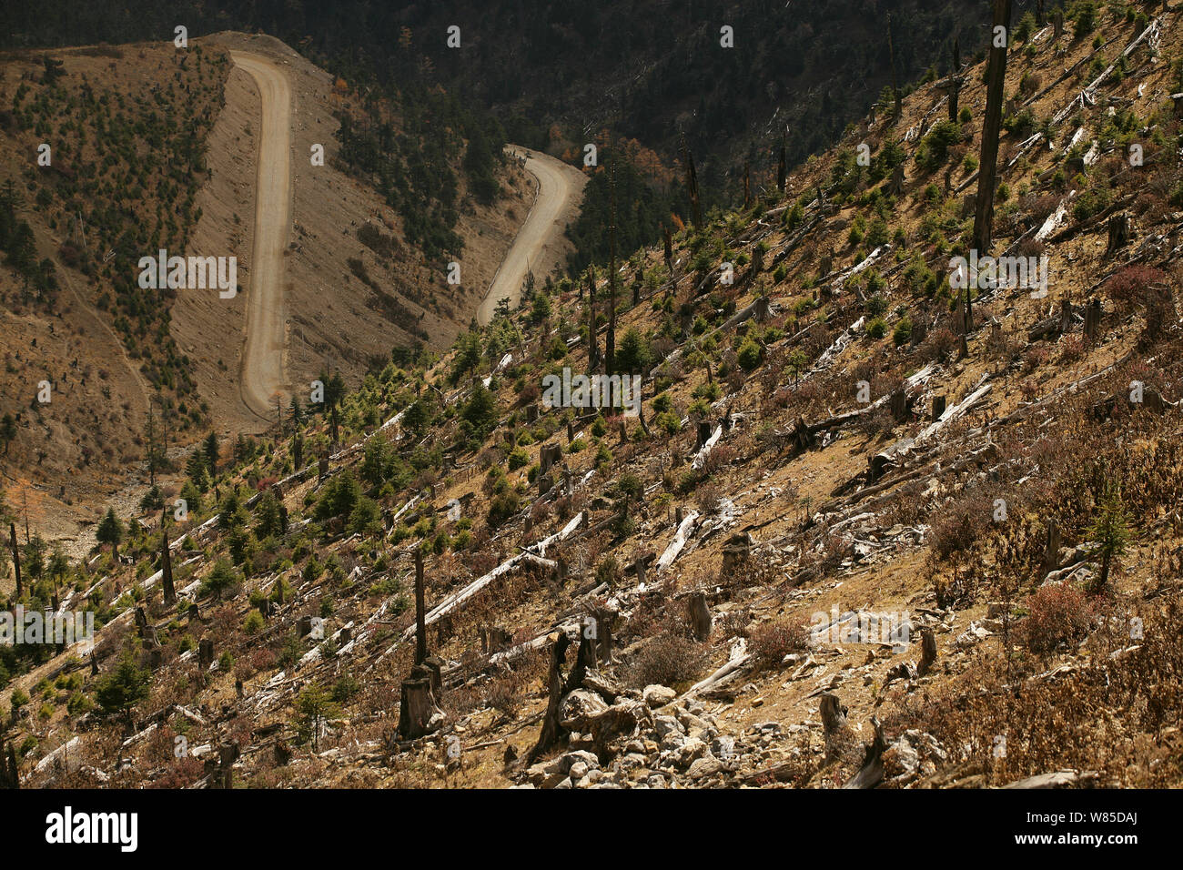 Deforested hillside, Baima Snow Mountain Nature Reserve, Deqin County ...