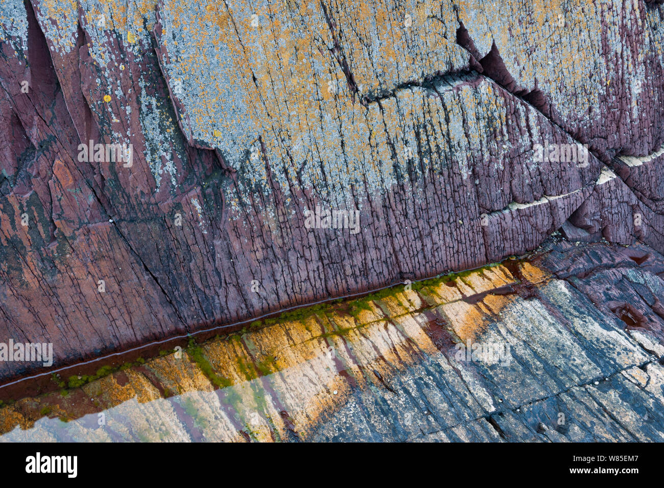 Layers of sedimentary rocks in the Batsfjord formation, Pers-fjord ...
