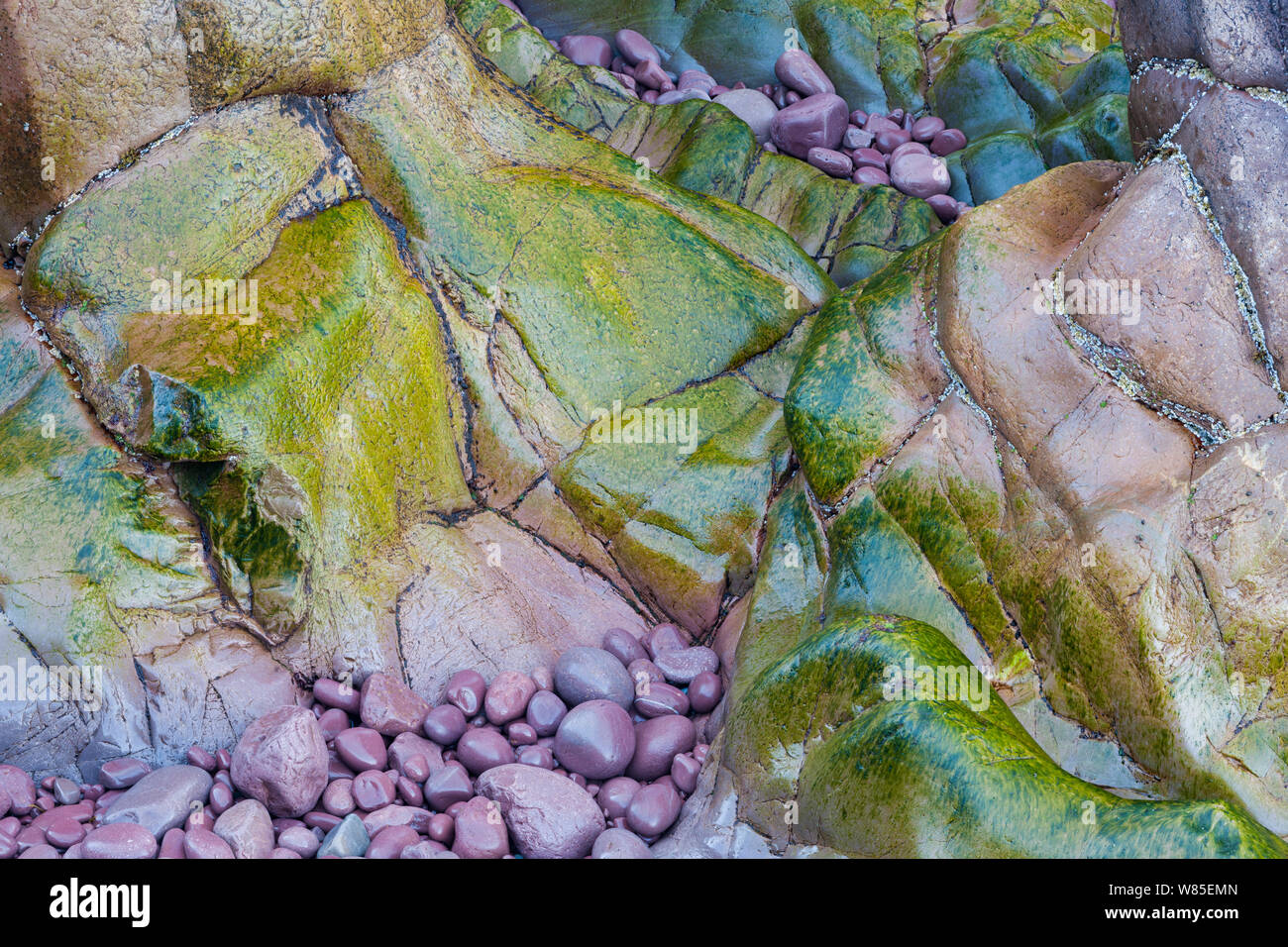 Colourful formations of sedimentary rocks. Vardo municipality, Varanger ...