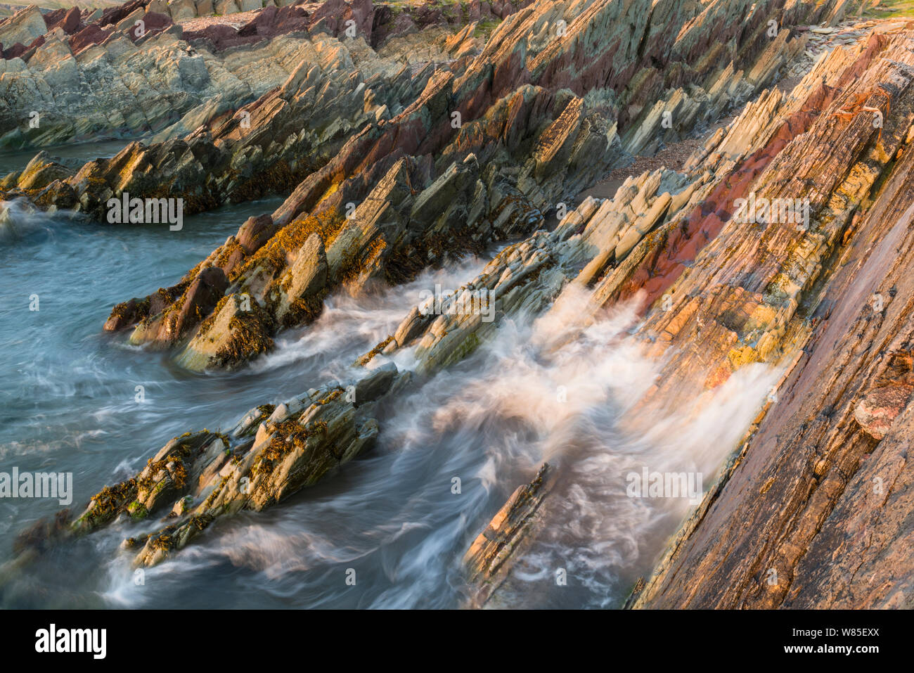 Layers of sedimentary rocks in the Batsfjord formation, Pers-fjord ...