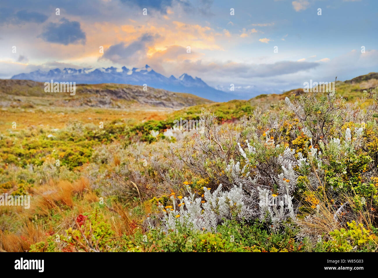 Patagonian sunset hi-res stock photography and images - Alamy