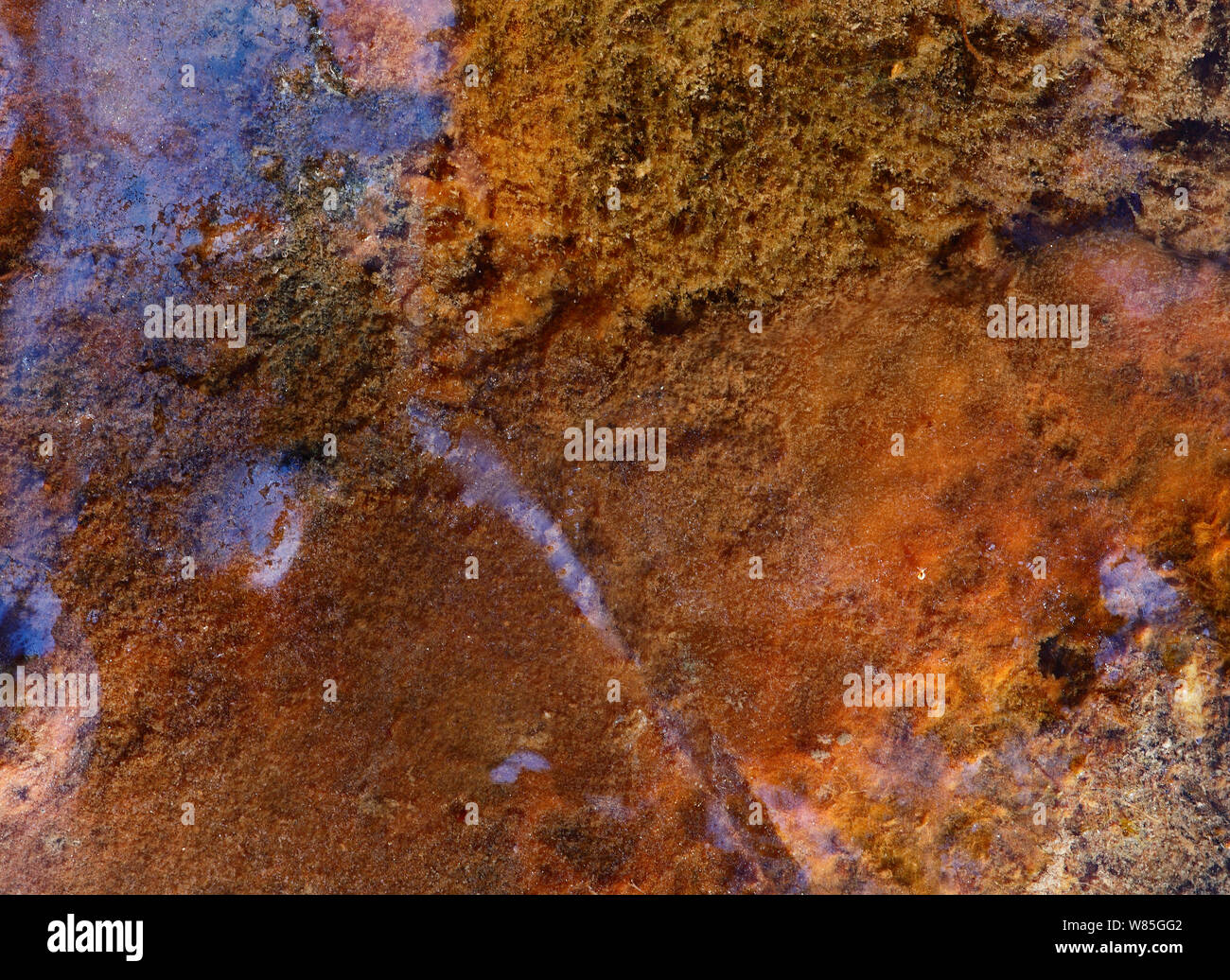 Puddle with natural oil from the ground, UK Stock Photo - Alamy