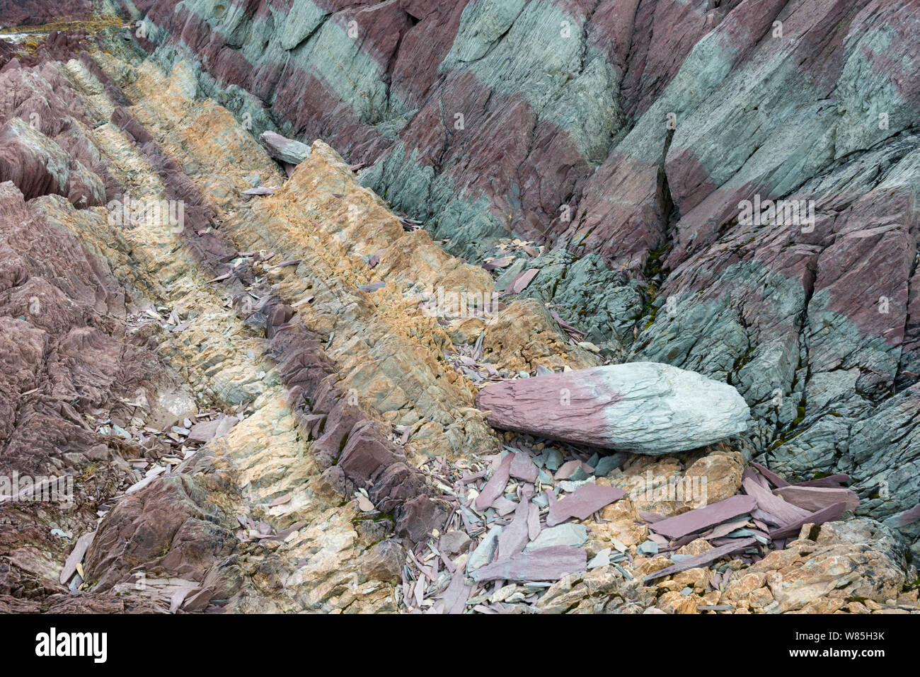 Layers of sedimentary rocks in the Persfjorden, with violet and green ...
