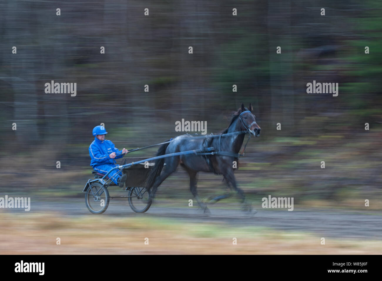 Trotting track hi-res stock photography and images - Alamy