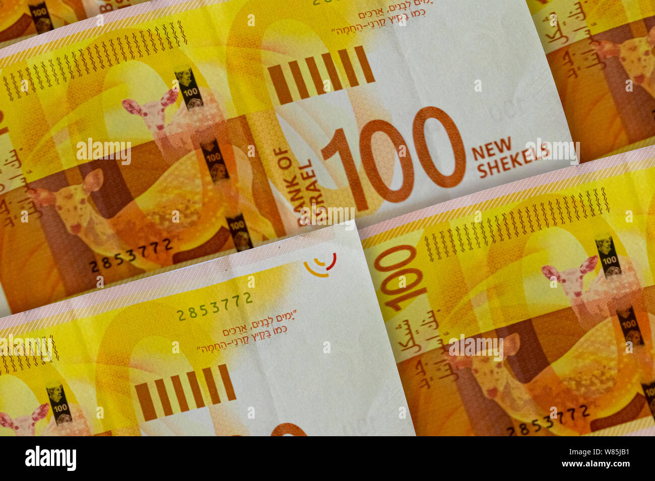 Israeli shekels background. 100 shekels pattern. Money of Israel ...