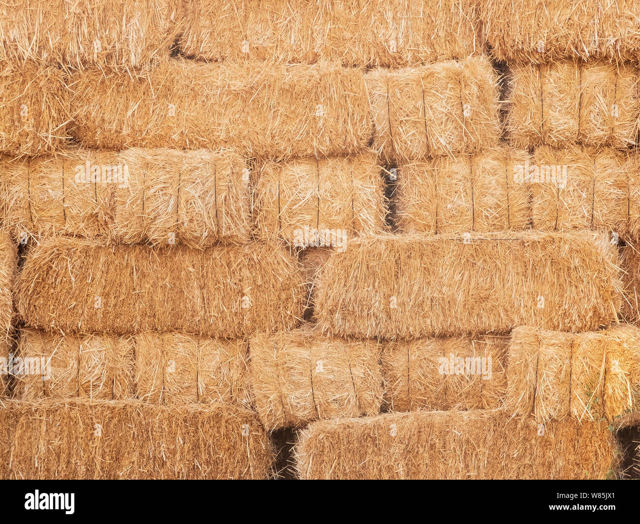 Stacks of dry straw. Piled straw haystacks. Natural dry straw texture ...