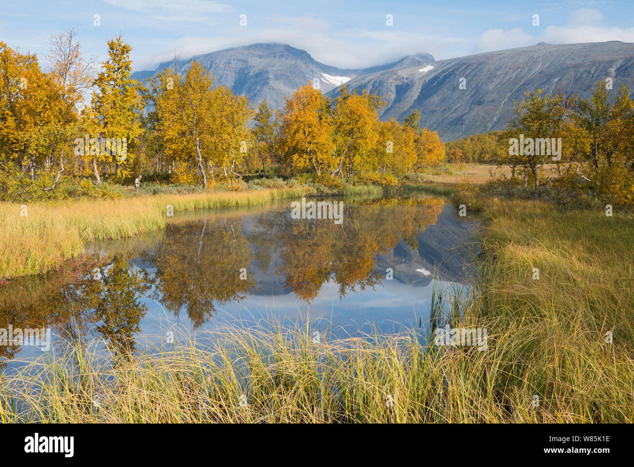 Lake in Rapadalen valley, Sarek National Park, Laponia World Heritage ...