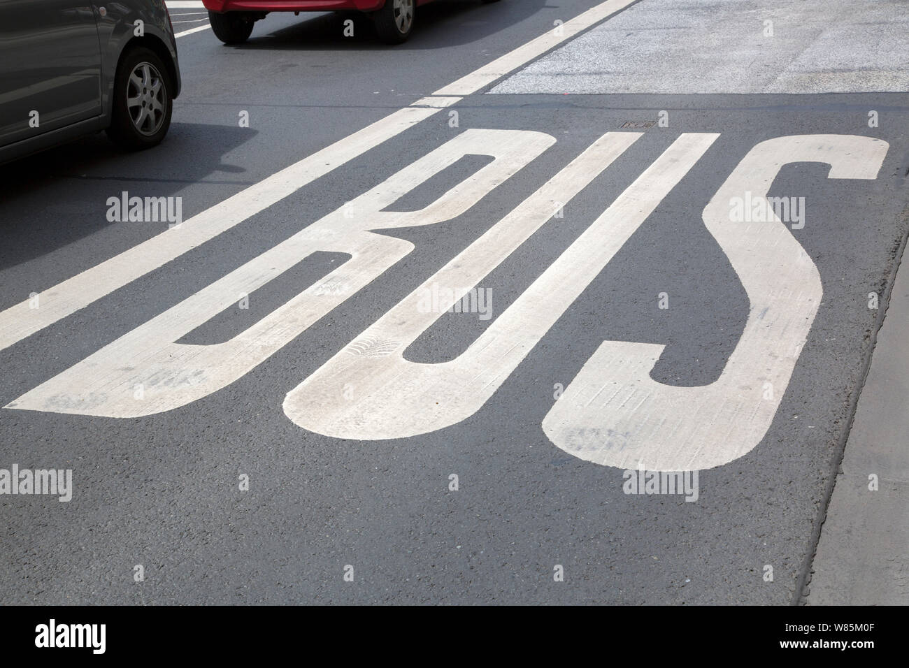 Bus Lane and Cars; Frankfurt; Germany Stock Photo - Alamy