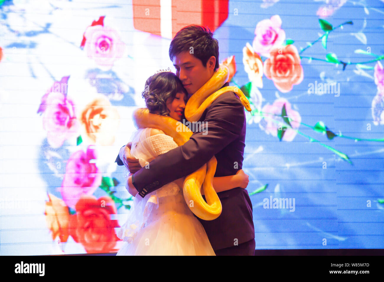 Chinese groom Wu Jianfeng hugs his bride Jiang Xue while carrying pythons around their necks at ...