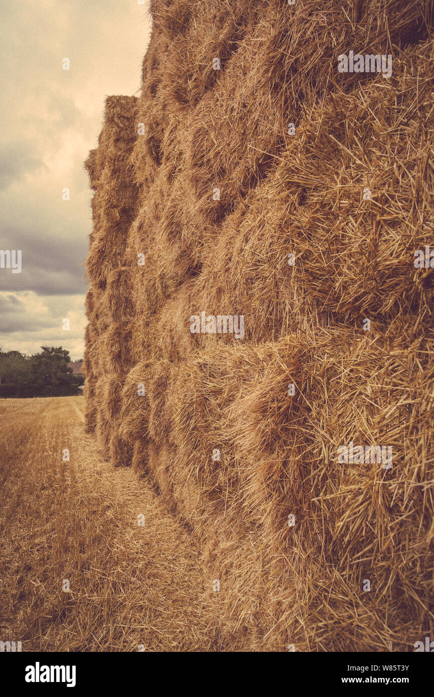 hay bails in english countryside Stock Photo - Alamy