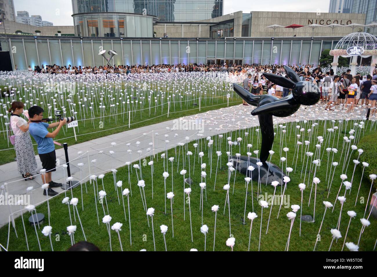 Visitors take photos of LED white roses during the"Light Rose Garden ...