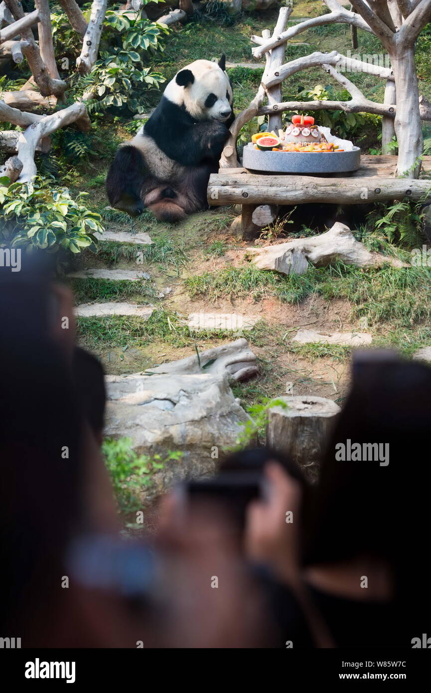 Visitors take photos of giant panda Kaikai during a celebration for ...