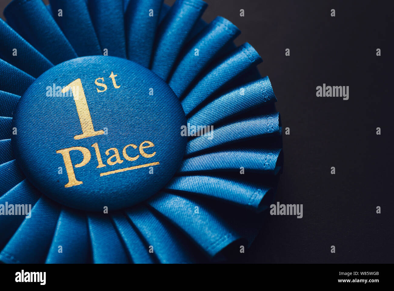 Champion 1st place blue rosette with gold text on black background ...