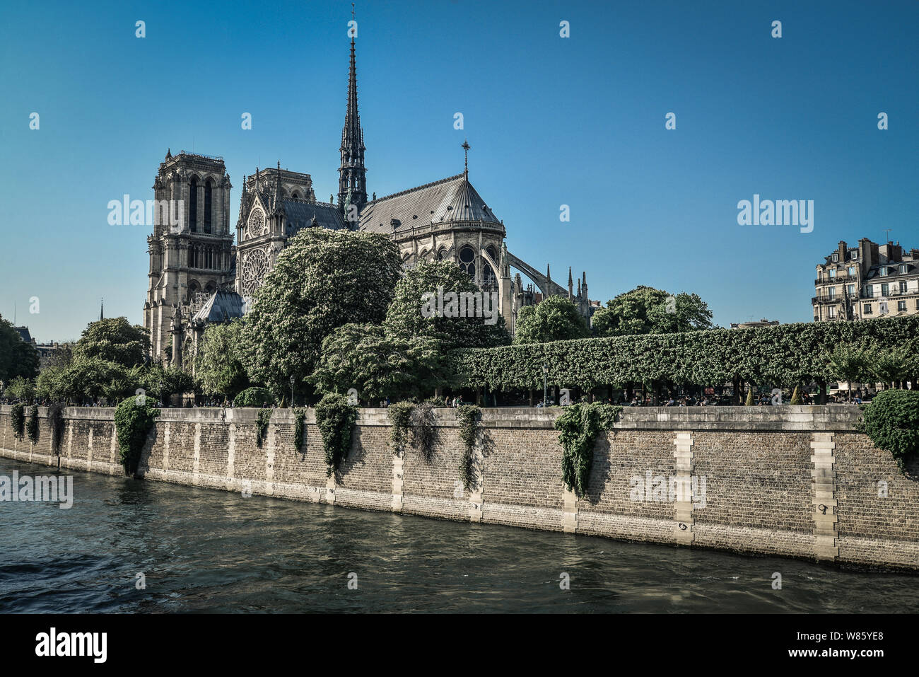 Notre Dame de Paris cathedral, France. The most popular city landmark ...