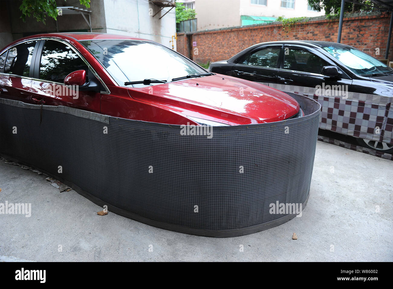 Cars are encircled by makeshift shields to prevent rats from invasion ...
