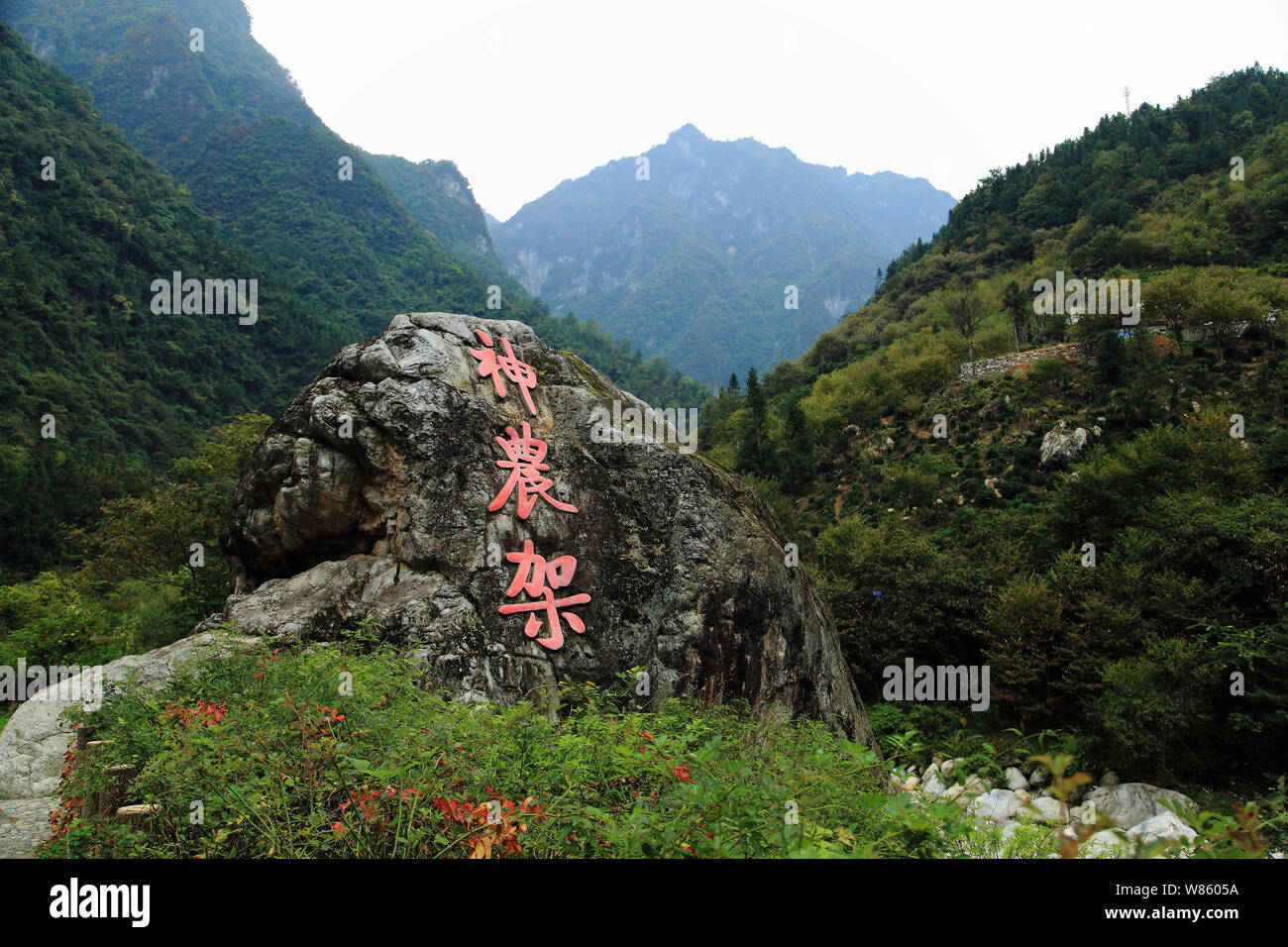 --FILE--Landscape of Shennongjia National Nature Reserve in autumn in ...