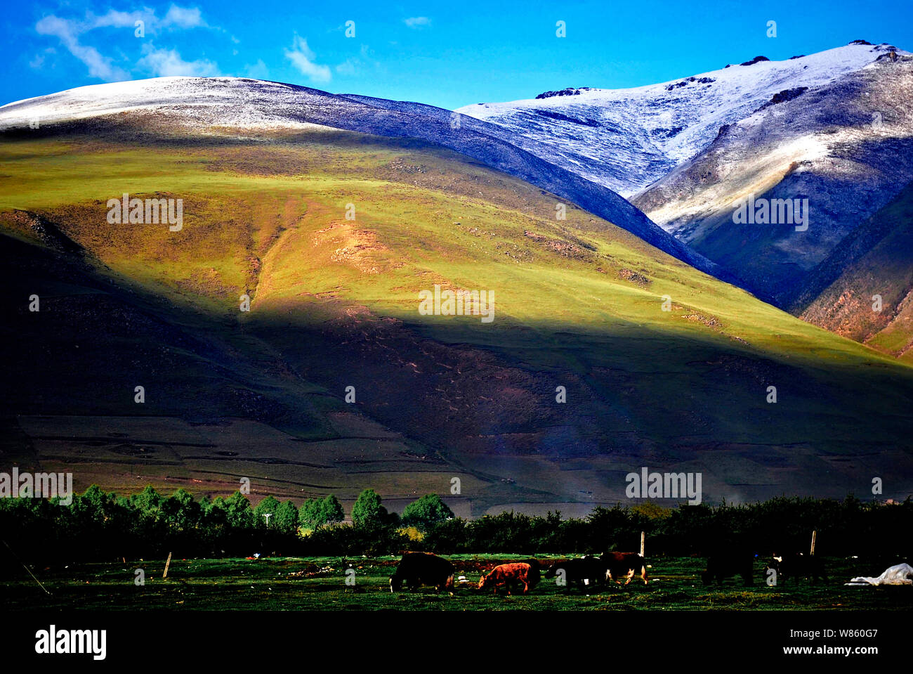 Landscape of the Sanjiangyuan National Nature Reserve (SNNR), also ...