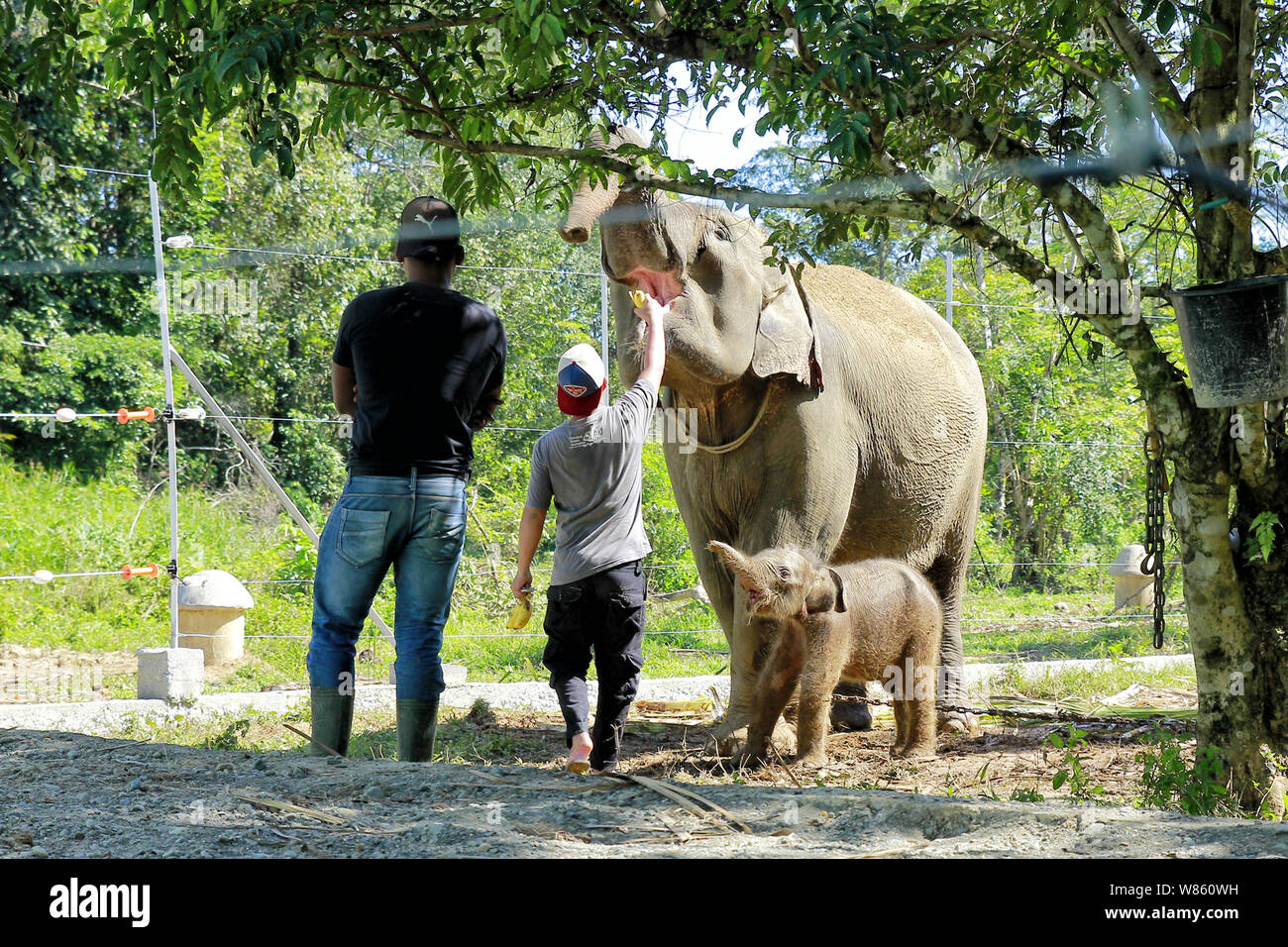 102 species hi-res stock photography and images - Alamy
