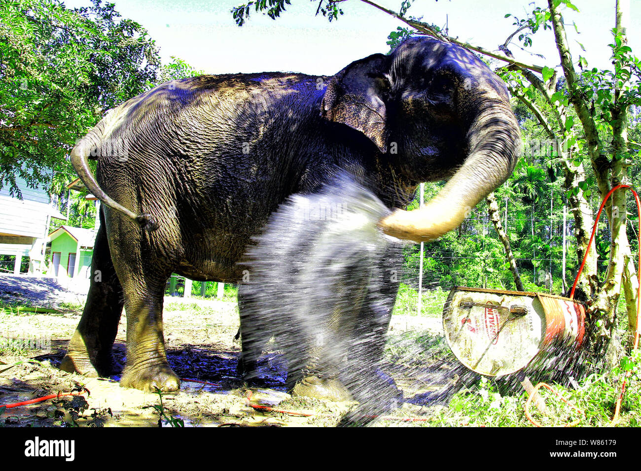 Deforestation and poaching hi-res stock photography and images - Alamy