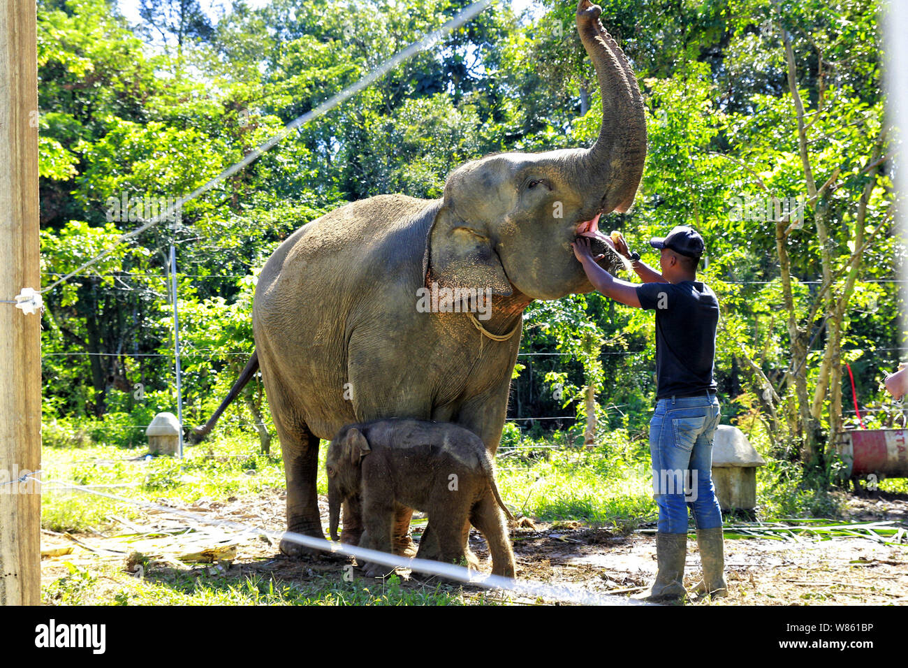 Meulaboh, Aceh, Indonesia. 27th July, 2019. A Mamot health workers ...
