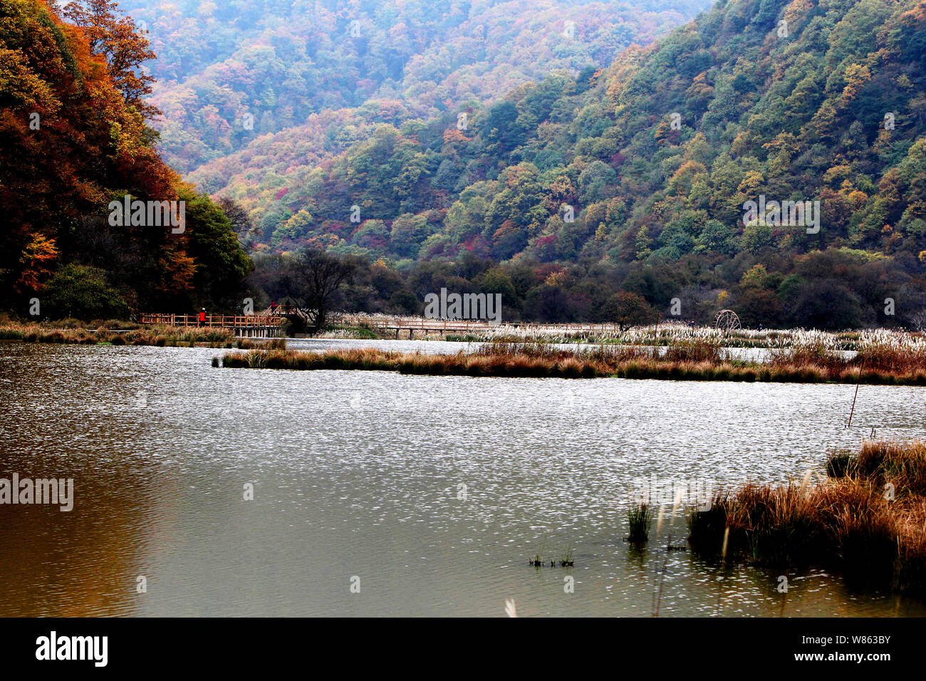 --FILE--Landscape of Shennongjia National Nature Reserve in autumn in ...