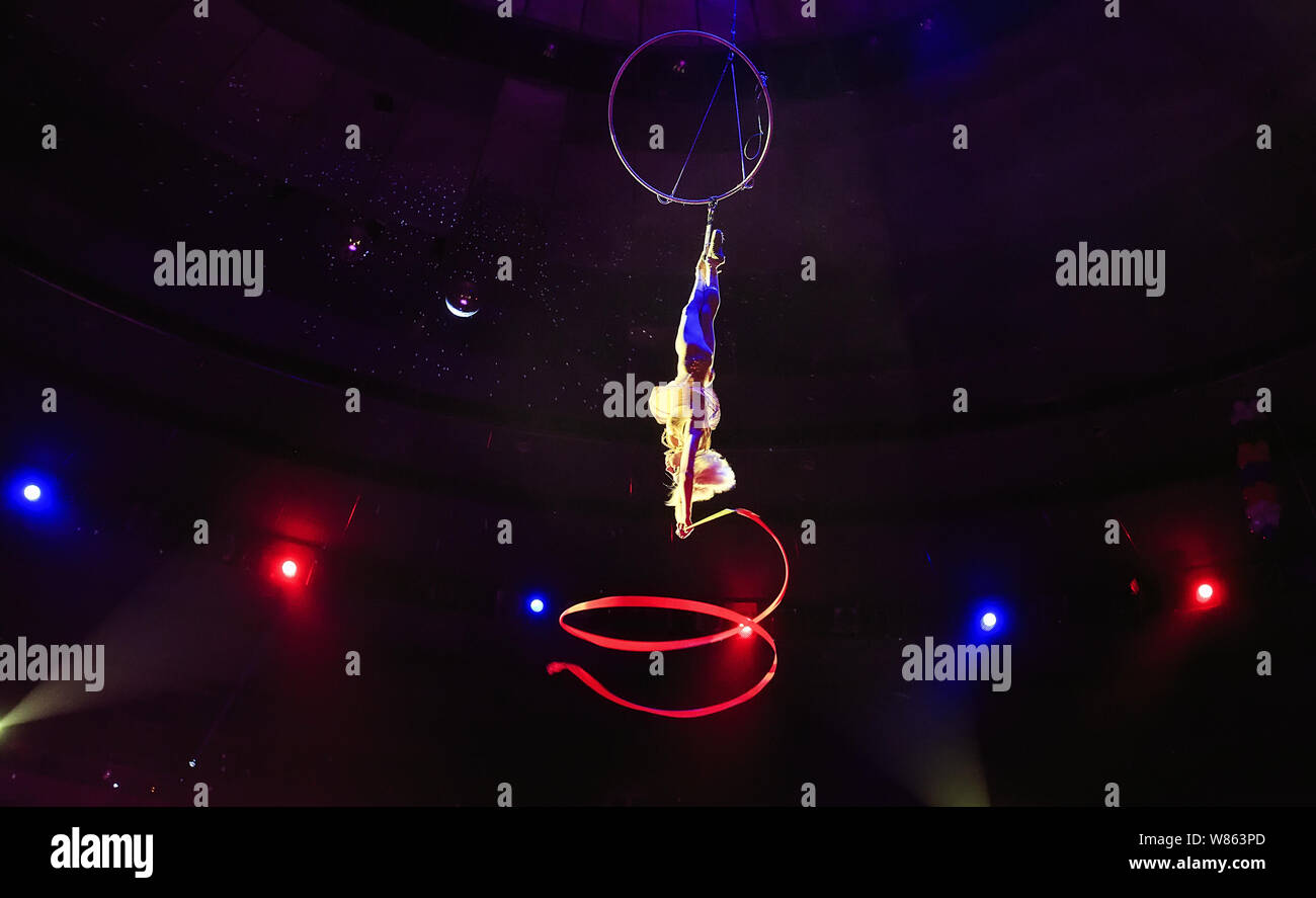 Aerial acrobat in the ring. A young girl performs the acrobatic ...