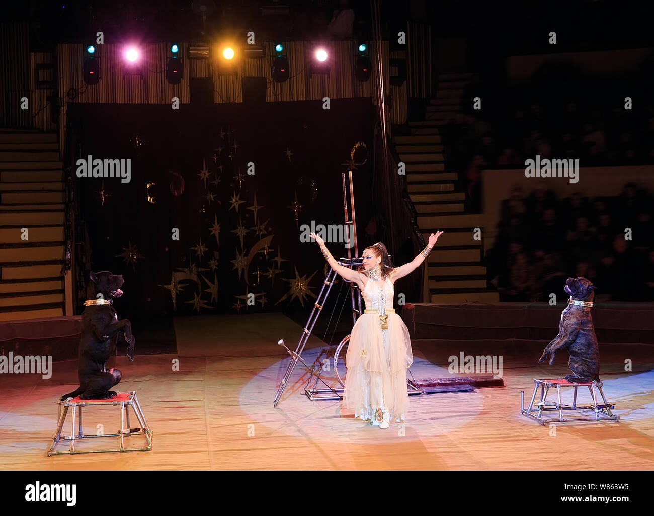 Animal training room hi-res stock photography and images - Alamy