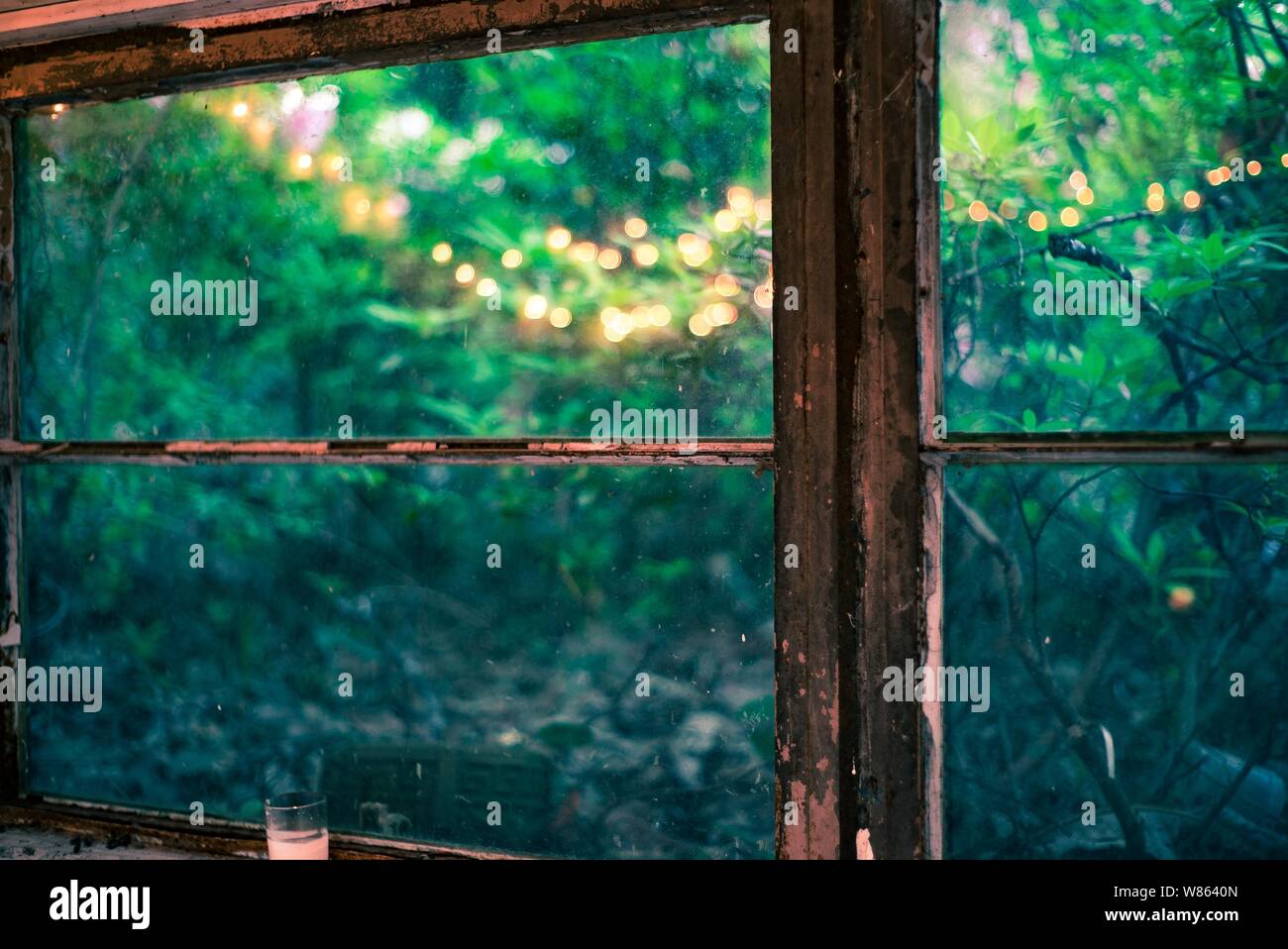 View of a forest from a weathered rusty wooden window Stock Photo - Alamy