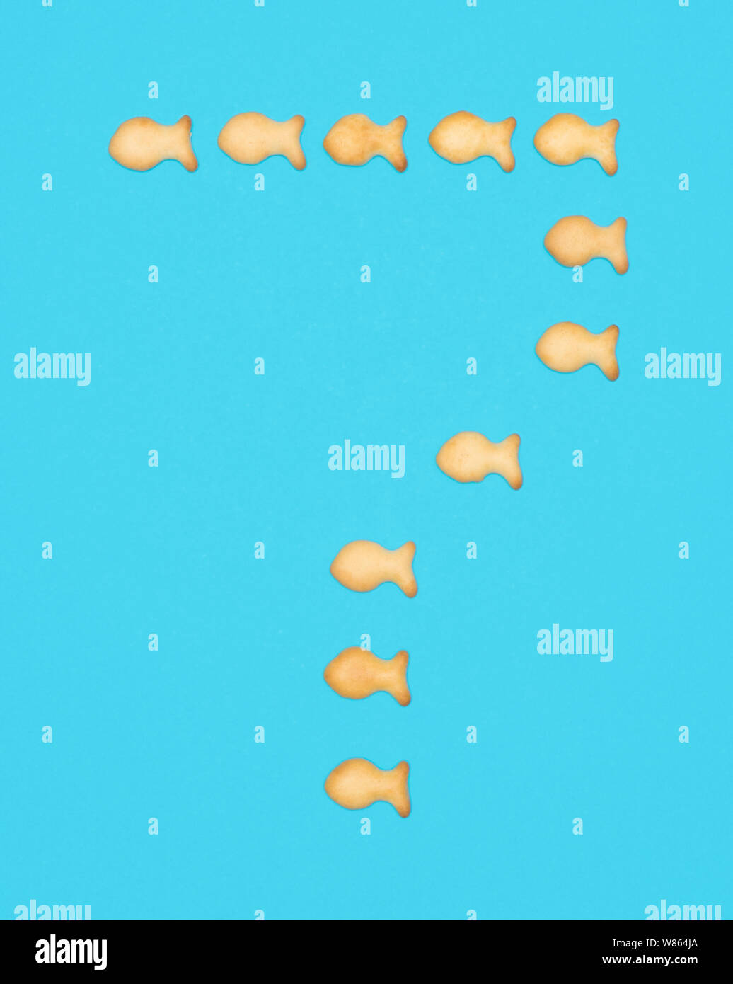 Seven 7 fish hi-res stock photography and images - Alamy