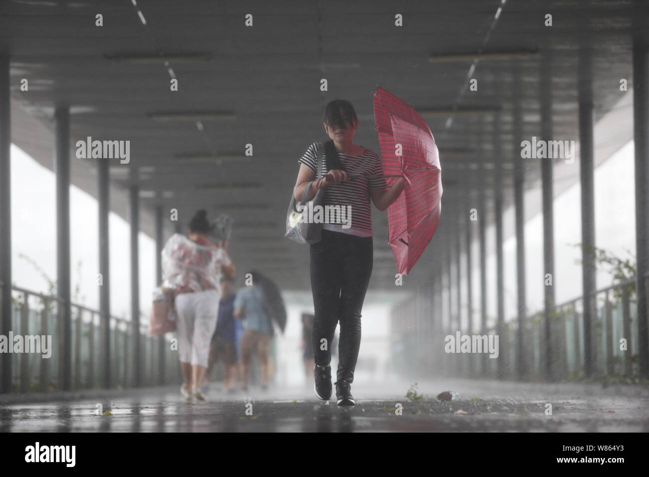 A Chinese commuter struggles with his umbrella in heavy rain and strong ...
