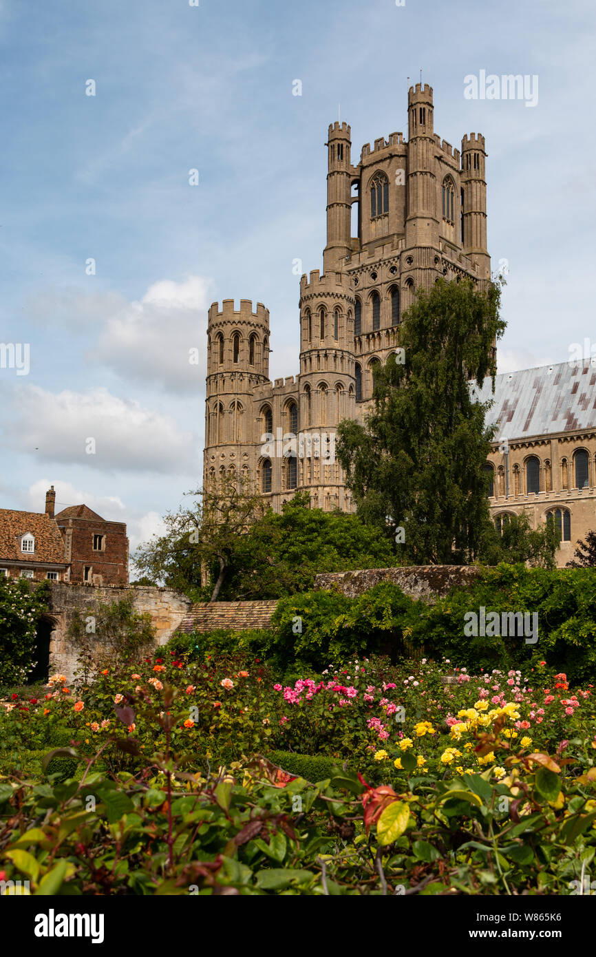 The Tower from the Gardens, Ely Cathedral Stock Photo - Alamy