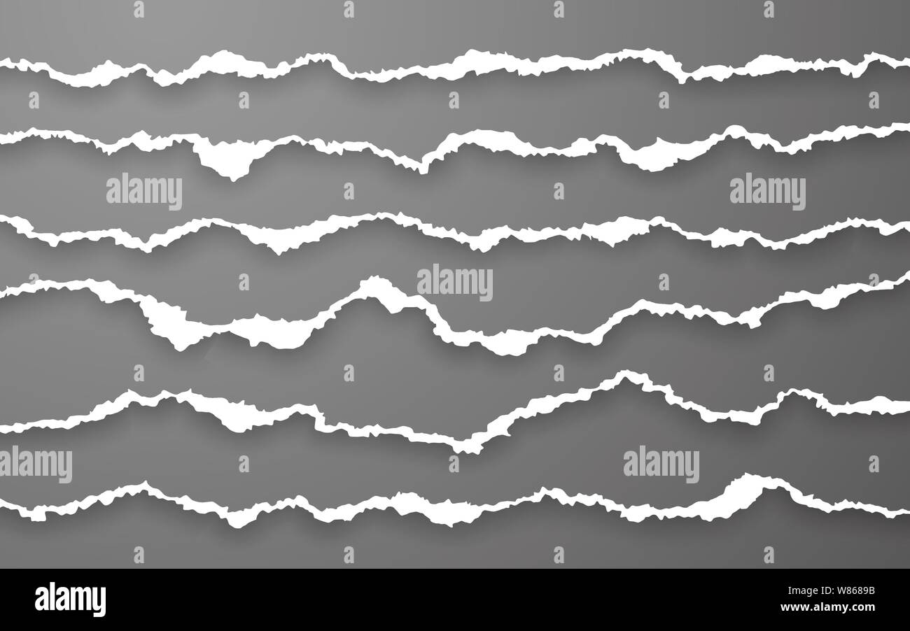 Torn paper edge. Ripped squared paper strips. Vector illustration Stock ...