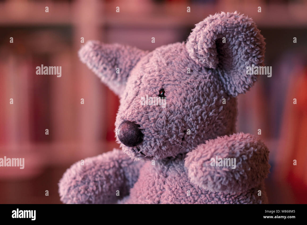 Plush mouse hi-res stock photography and images - Alamy