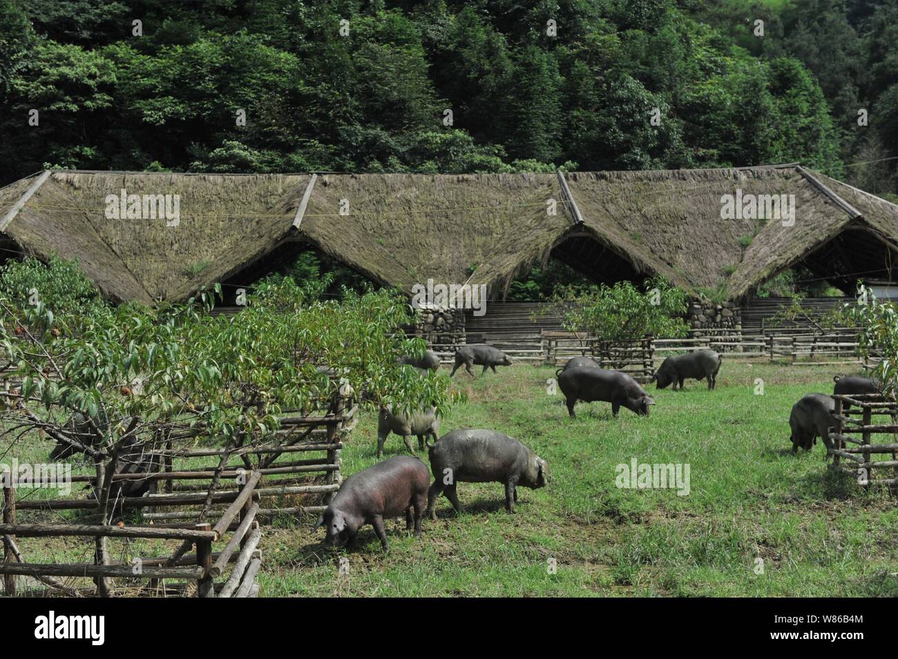 Pool on farm hi-res stock photography and images - Alamy