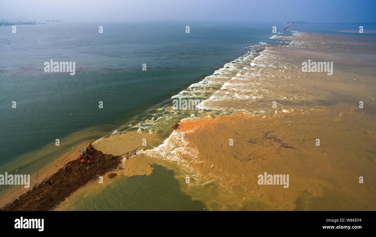 Aerial view of the dike separating Liangzi Lake and Niushan Lake after ...